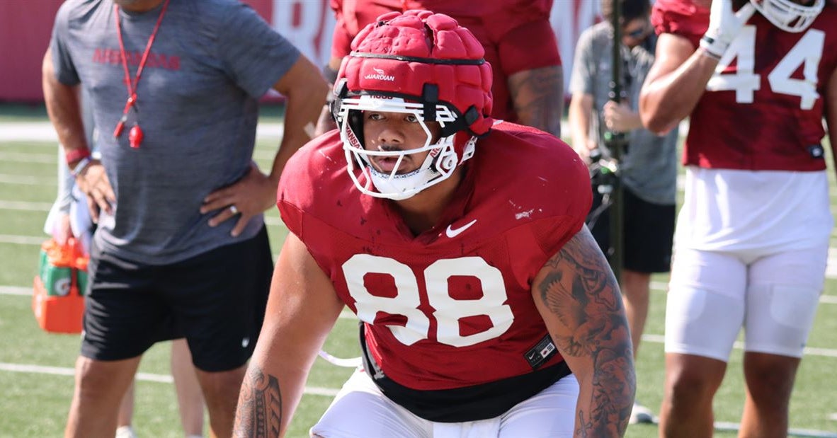 Danny Saili an important piece to Arkansas D-line puzzle