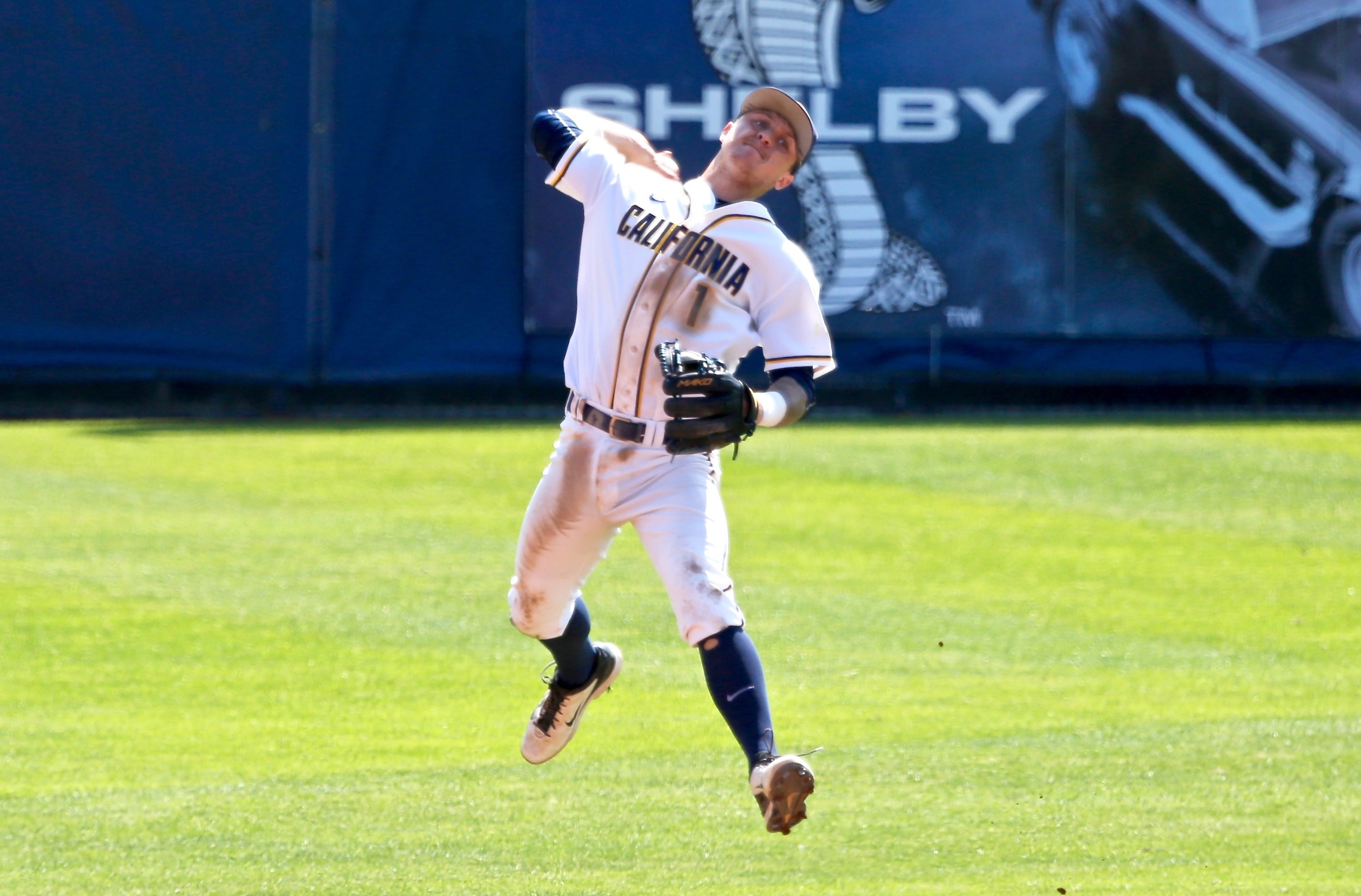 MLB Draft Scouting Report: Robbie Tenerowicz