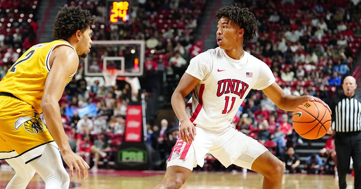 LSU basketball 2025 transfer portal nuggets (4/9)