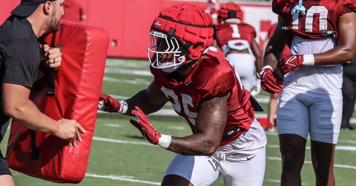 Anthony Switzer realizing dream playing for home state Razorbacks