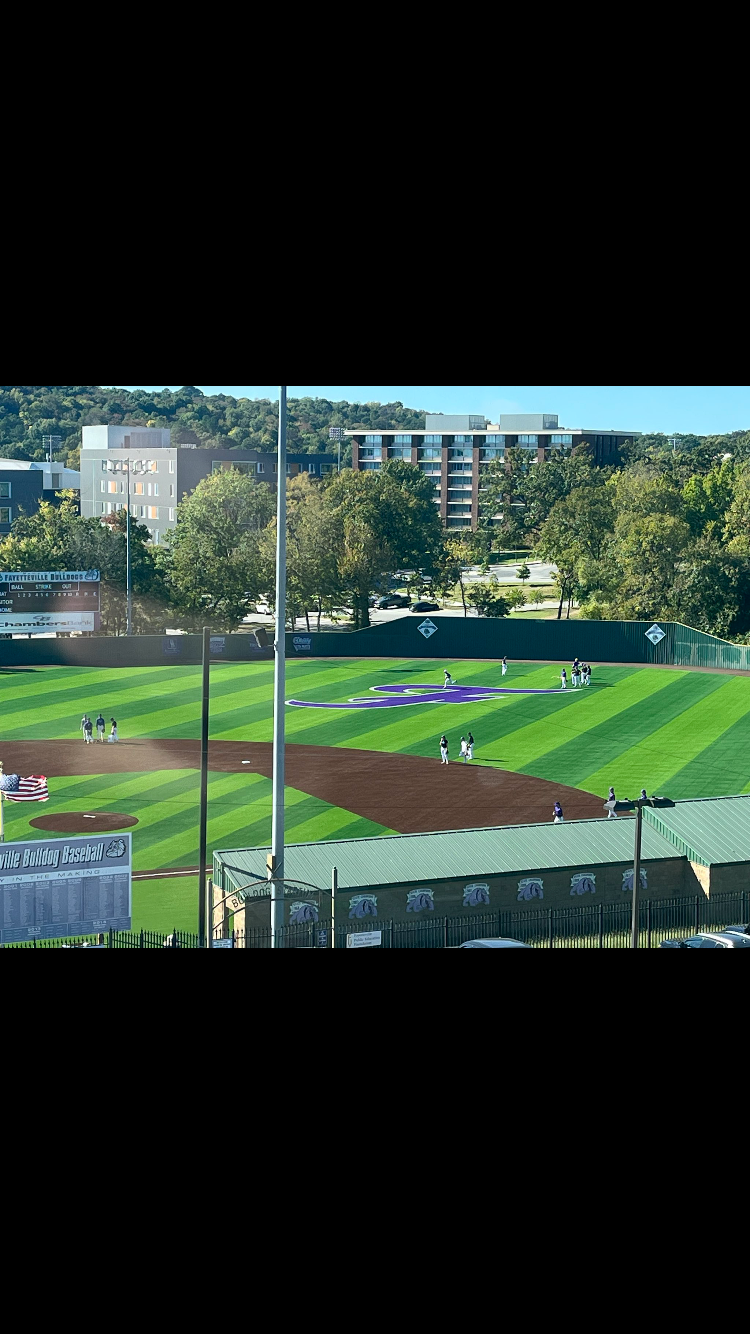 Baseball Turf