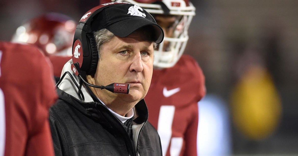 Dawgman.com Game Preview - Washington State Cougars