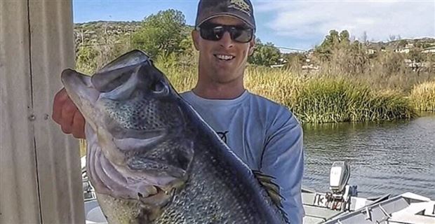 Monster 16-pound Bass Caught in California