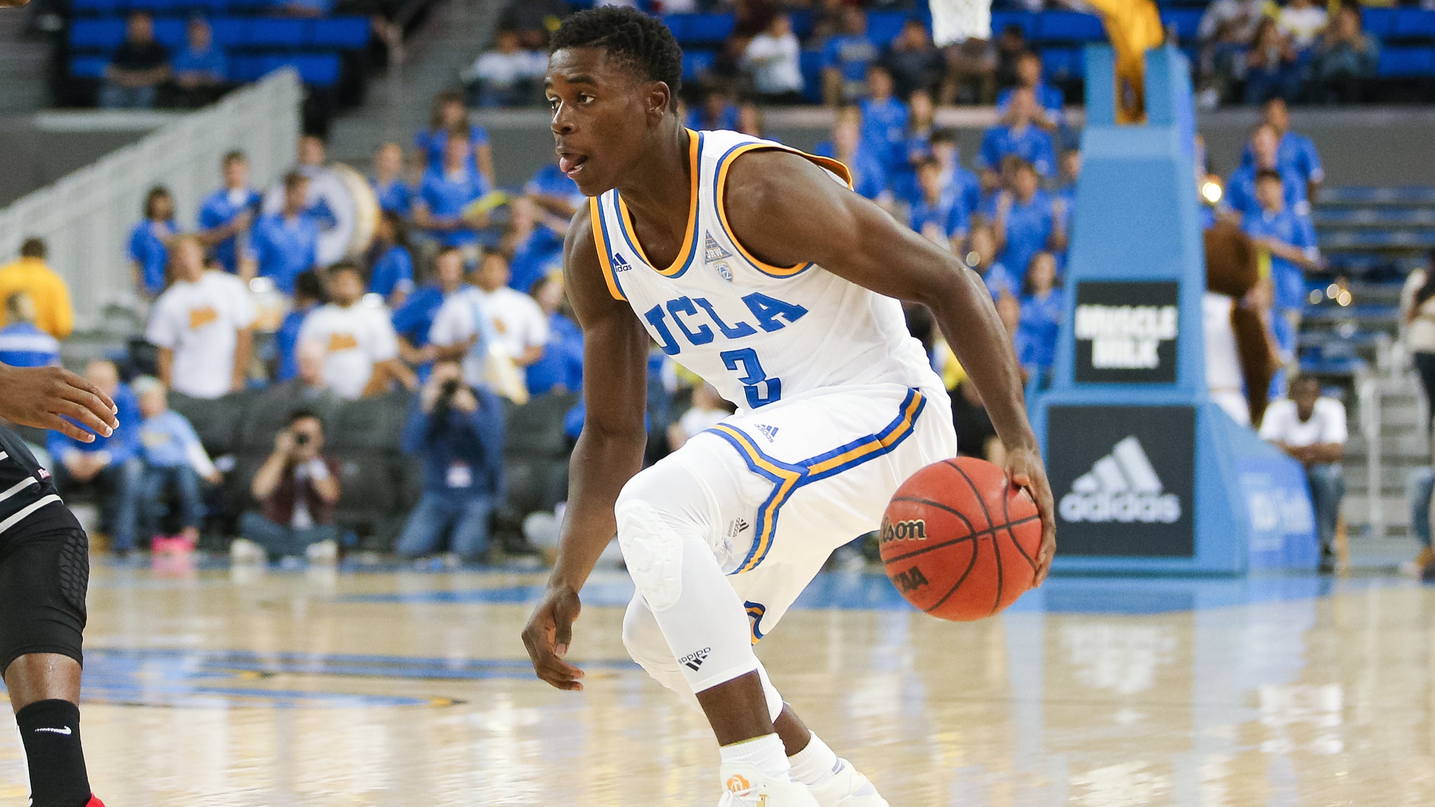 Eric Jacobsen Basketball 247