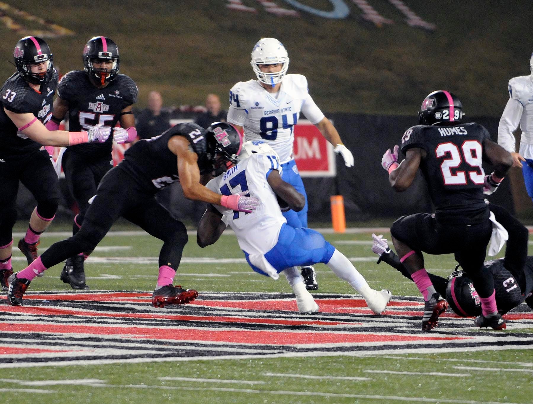 Georgia State Photo Gallery