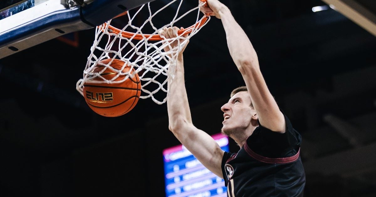 Washington lands former Florida State forward Christian Nitu