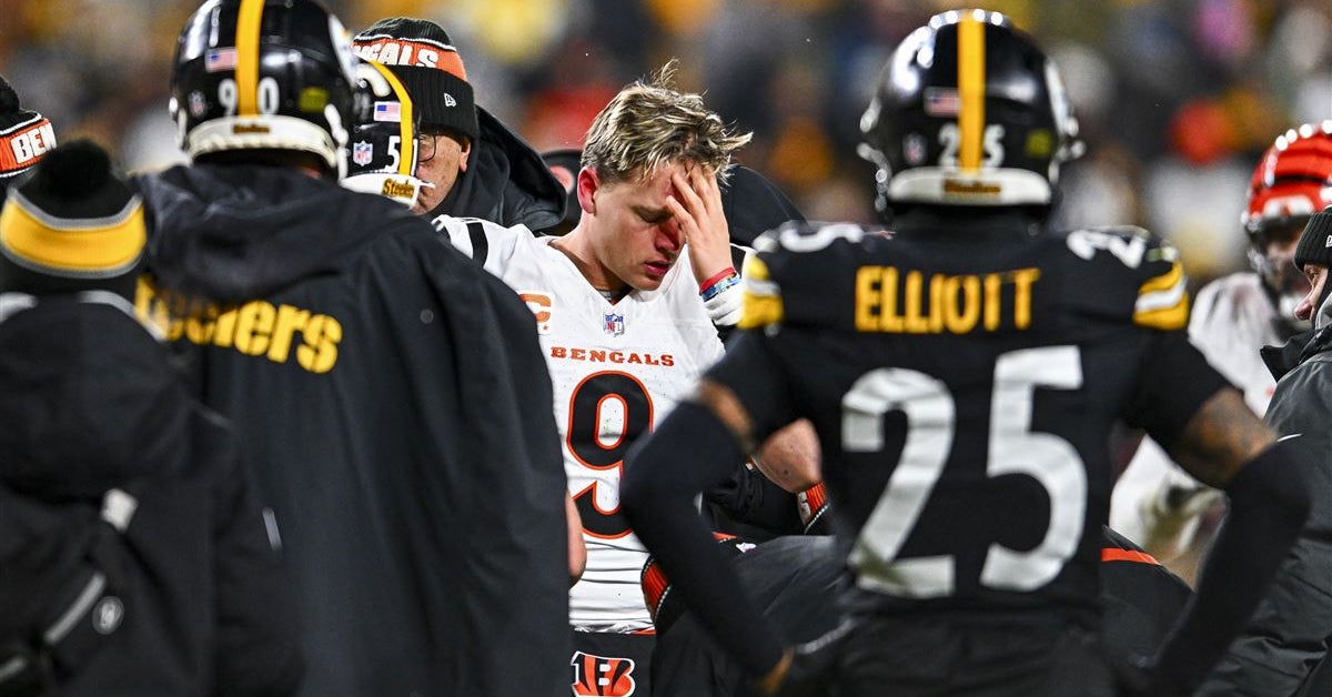 This former Super Bowl champion says Joe Burrow 'is not an elite ...