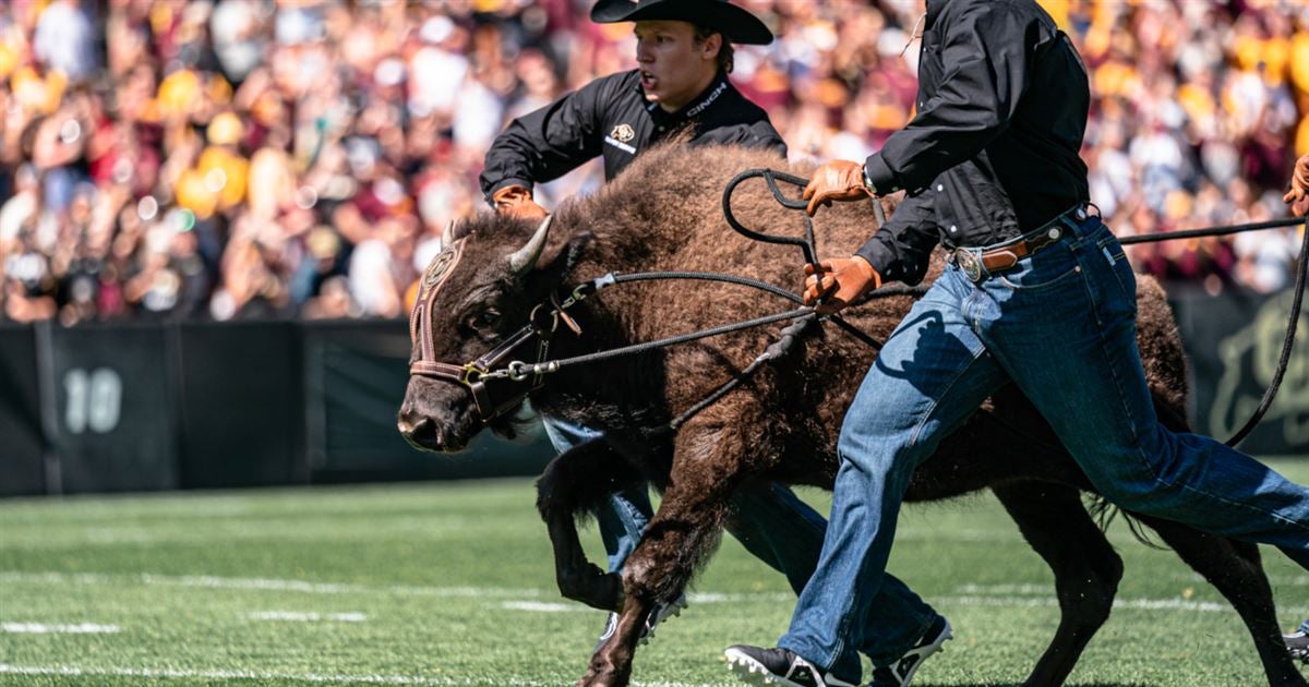 Running with Ralphie Part V: An off-season to grow