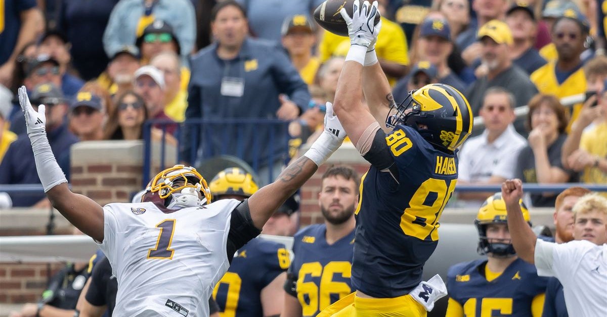 Michigan TE Hogan Hansen, Brady Prieskorn injury updates