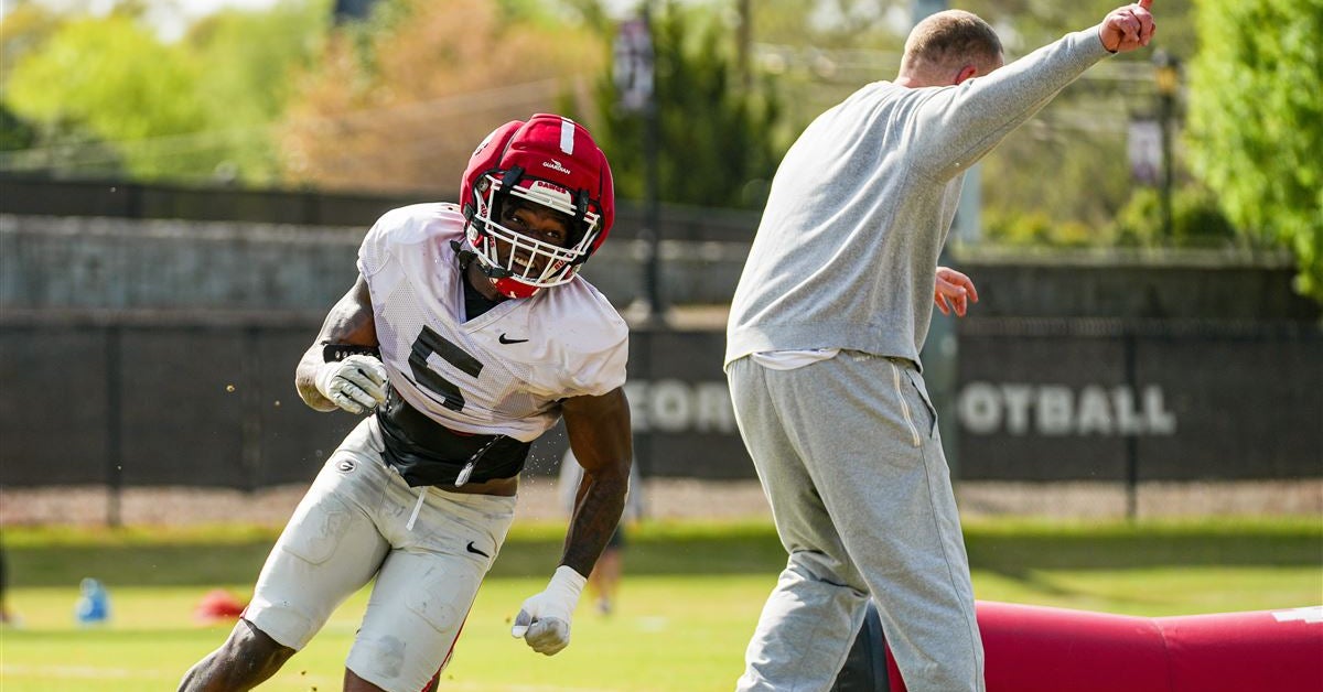 Georgia linebacker Raylen Wilson ready to step up with CJ Allen off to ...