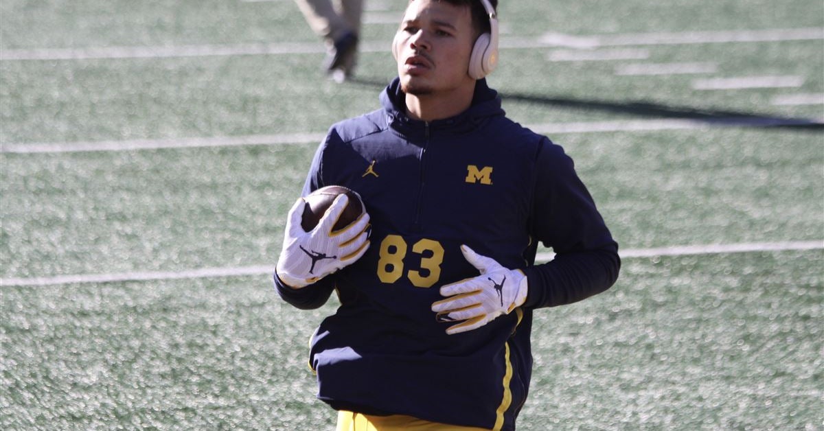 BREAKING: Iowa lands Michigan tight end transfer Erick All