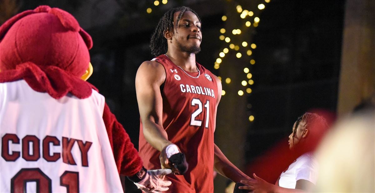 Gamecocks see second player enter NCAA Transfer Portal