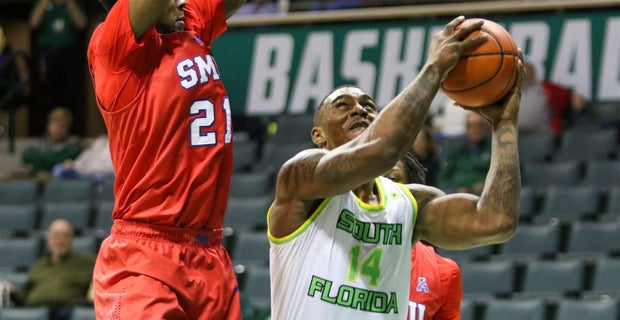 Newest addition to USF's football roster might not be who you expect