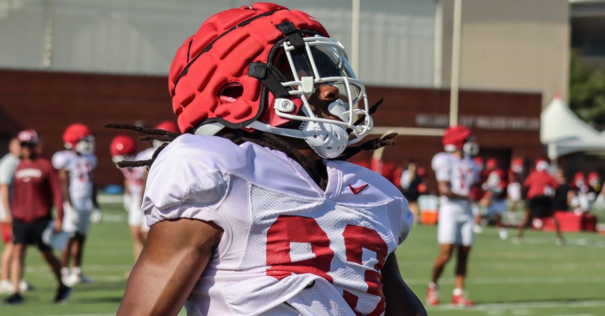 Arkansas wide receiver Dazmin James to enter transfer portal, per report