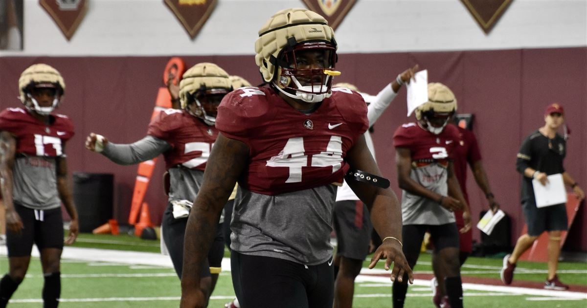 WATCH: DT Joshua Farmer on his freshman season so far