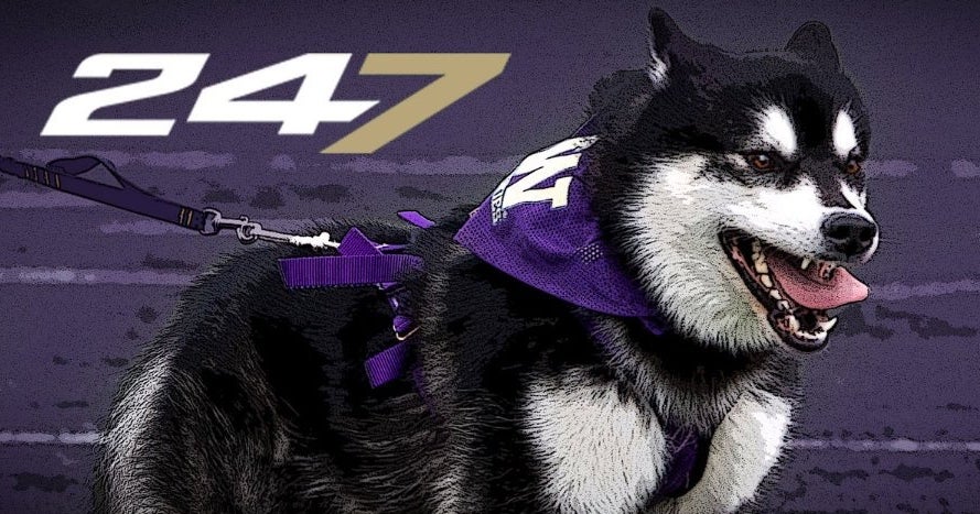 Dawgman.com to stay with 247Sports for three more years!