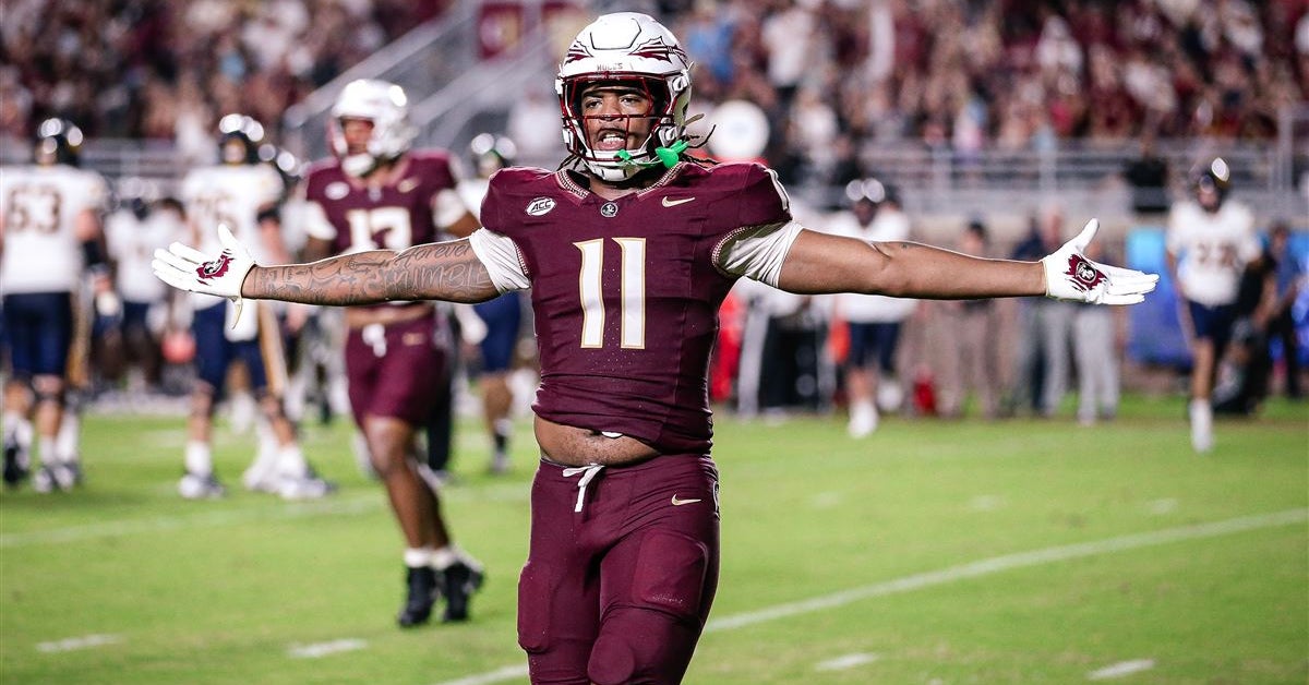 Where LSU football's transfers ranked in updated rankings