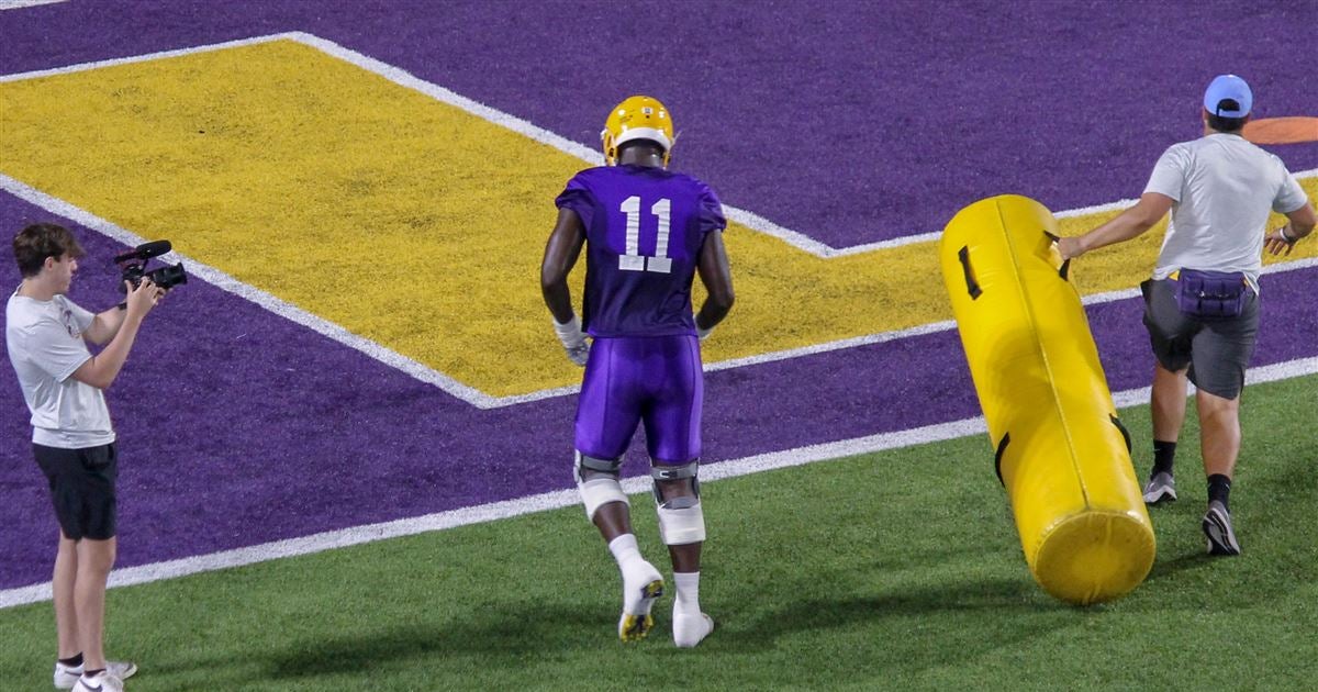 Fall camp Q/A with LSU edge rusher Ali Gaye