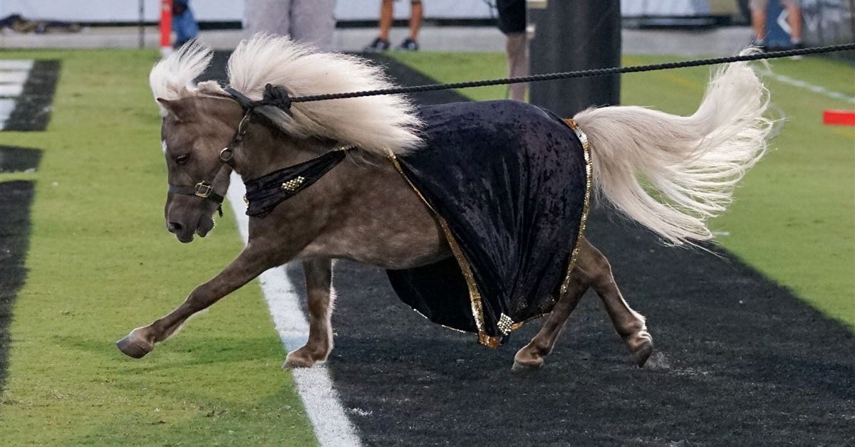 Major UCF Position Battles As Spring Progresses