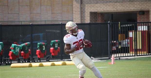 FSU LB Tyrell Lyons Out For The Season