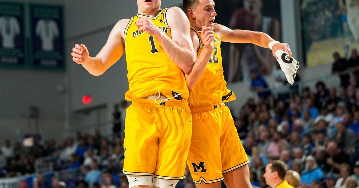 Michigan Basketball Insider - What NBA scouts are saying about Danny Wolf