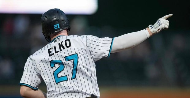 Diamond Rebel legend Tim Elko named to Team USA roster for 2024 ...