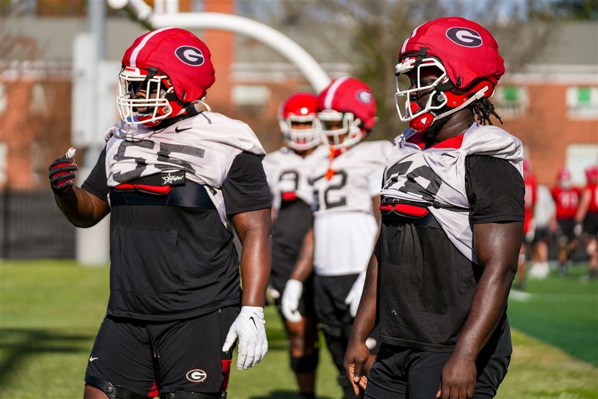 Georgia counting on current defensive linemen after portal window ...