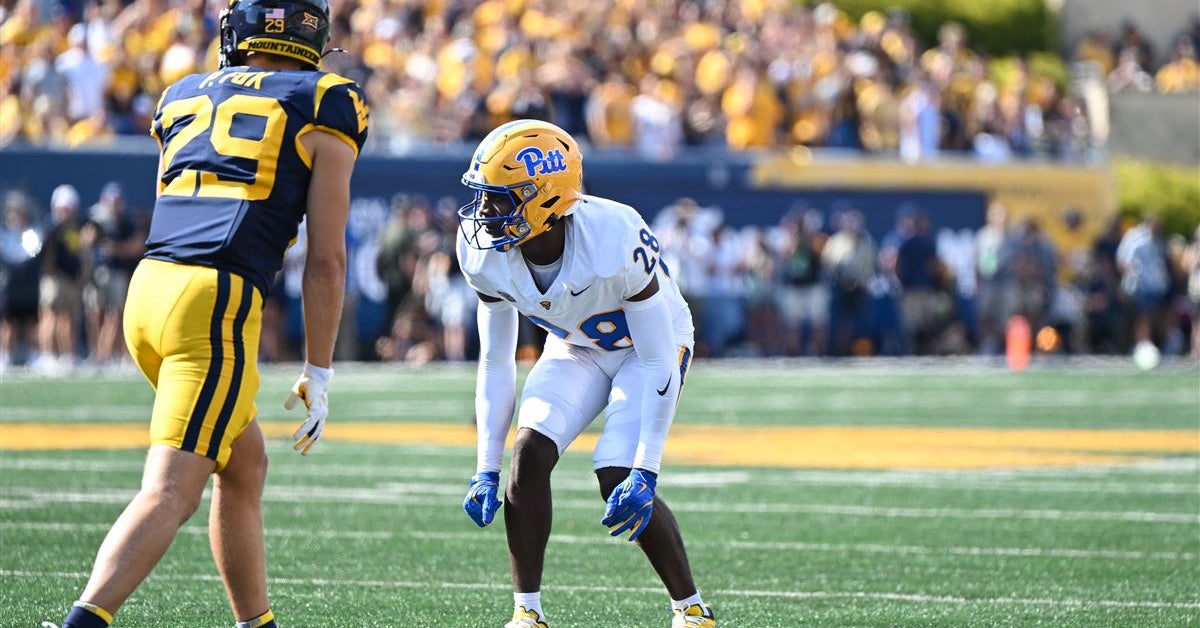 What stands out on Pitt's latest depth chart?