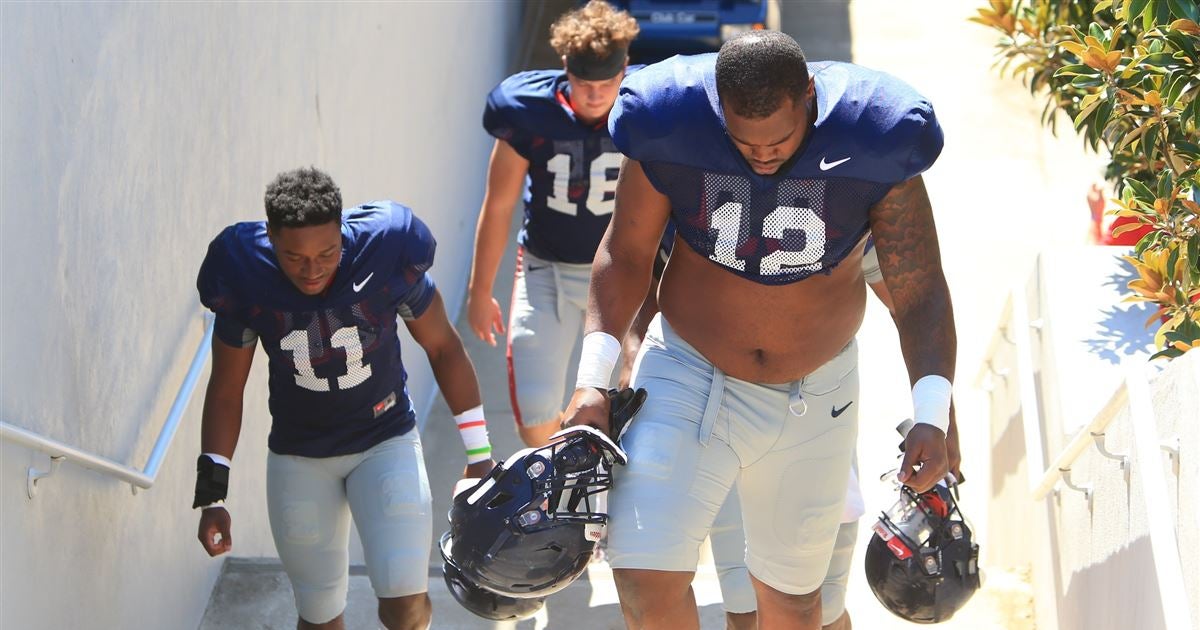 Austrian Robinson Hoping To Help Spark Turnaround Of Ole Miss D'