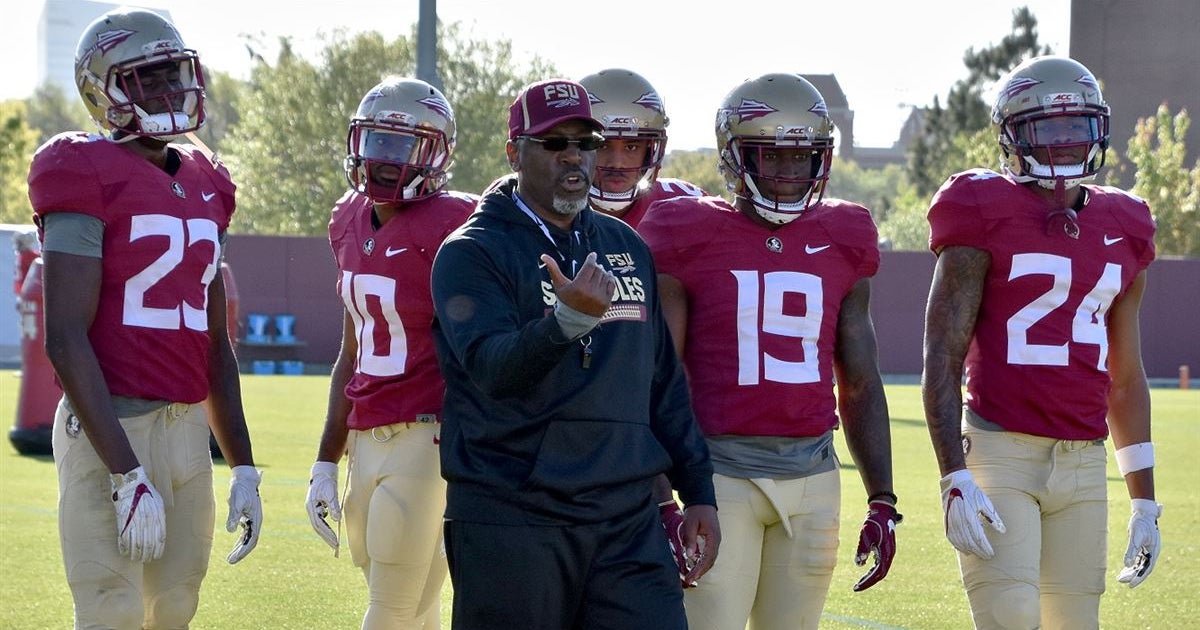 FSU has 'dogs' and options at safety