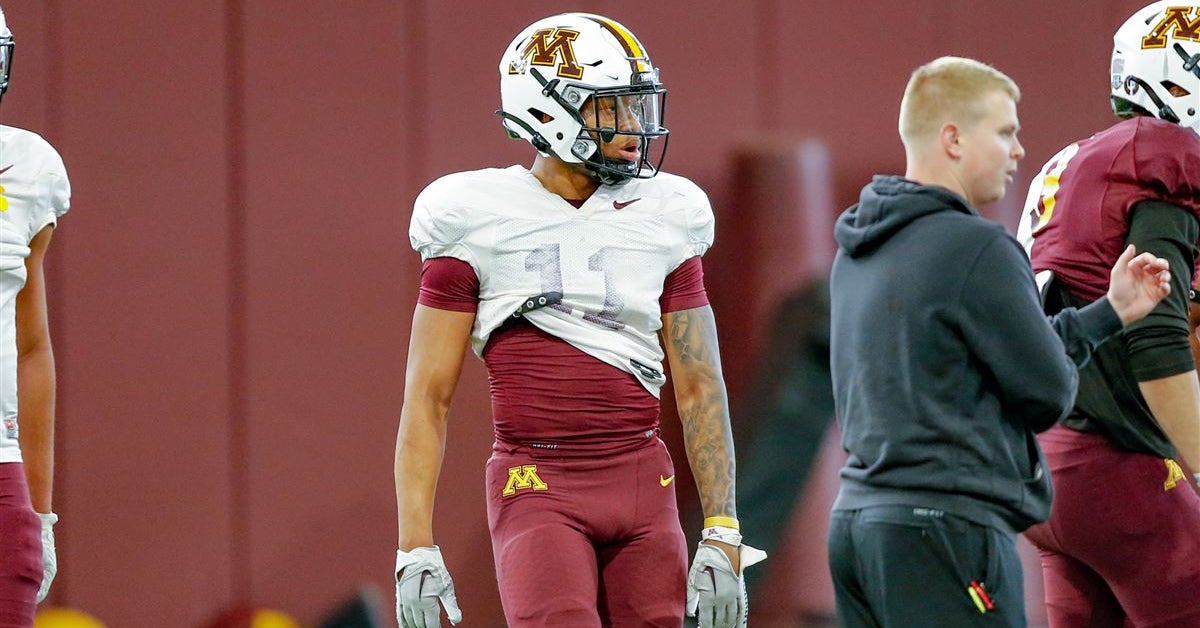 Minnesota Football: Top 5 Transfers Moving into Big Roles