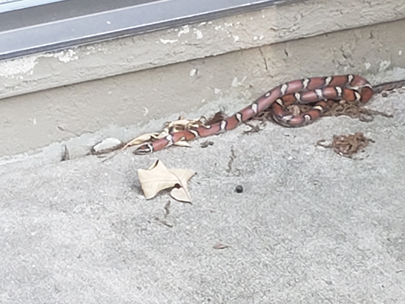 Halp, please. The 2024 version of problems with my pool.