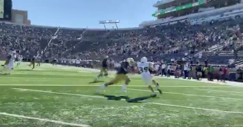 WATCH: Jordan Botelho rocks USF punter, sets up ND touchdown