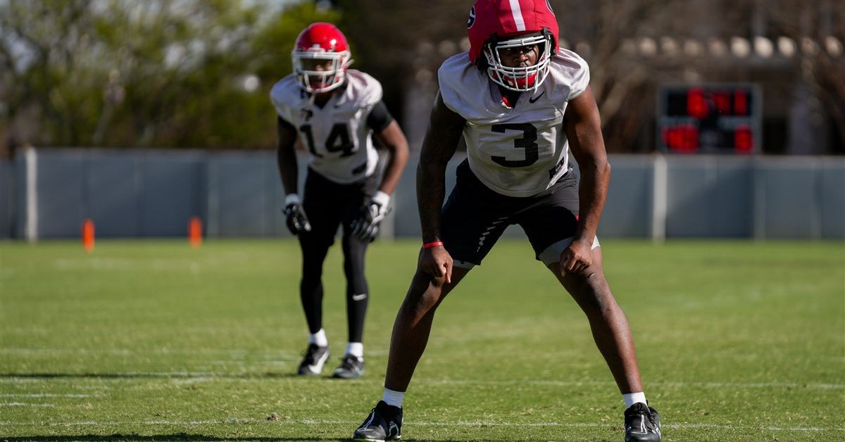 Growth the name of the game for Georgia's inside linebackers
