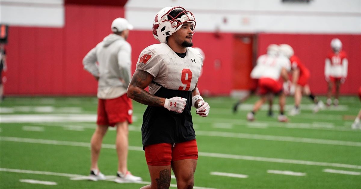 Key Wisconsin Badgers: No. 8 - Senior safety Austin Brown