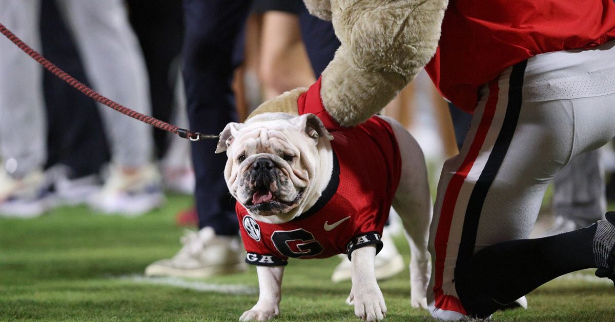 Georgia drops to No. 12 in AP Top 25 Week 6 Poll