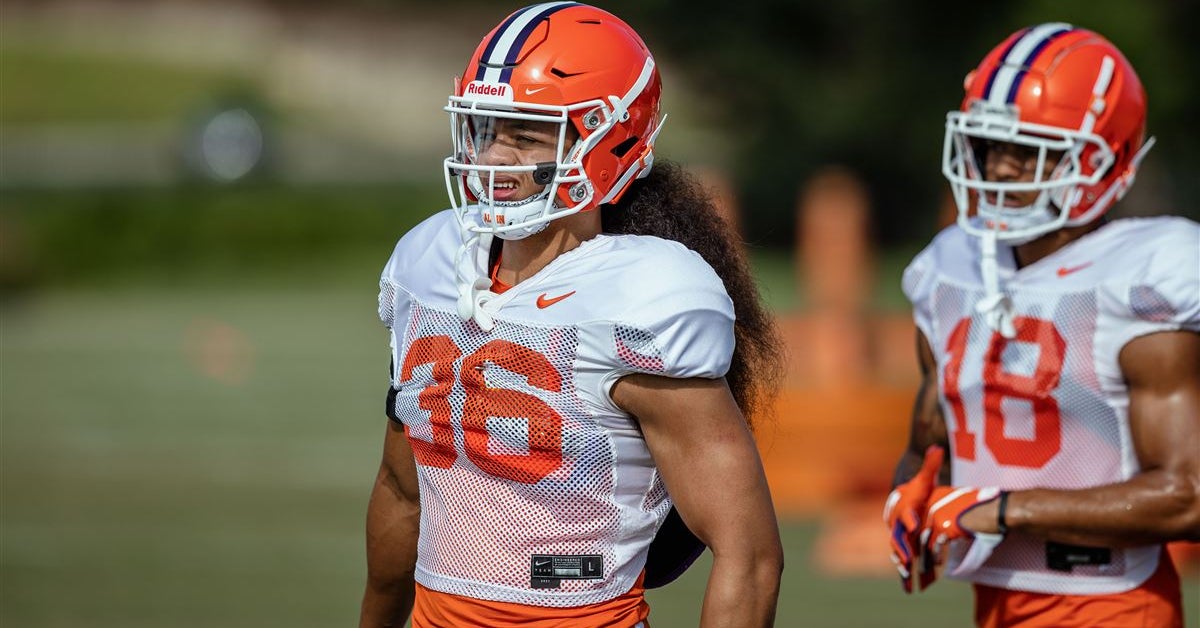 Clemson football: Tigers starting safety Lannden Zanders announces ...