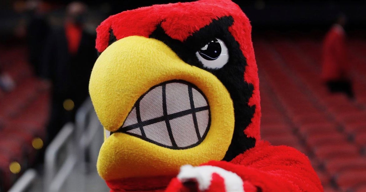 Cardinal Authority Recruiting Scoop - 8/18