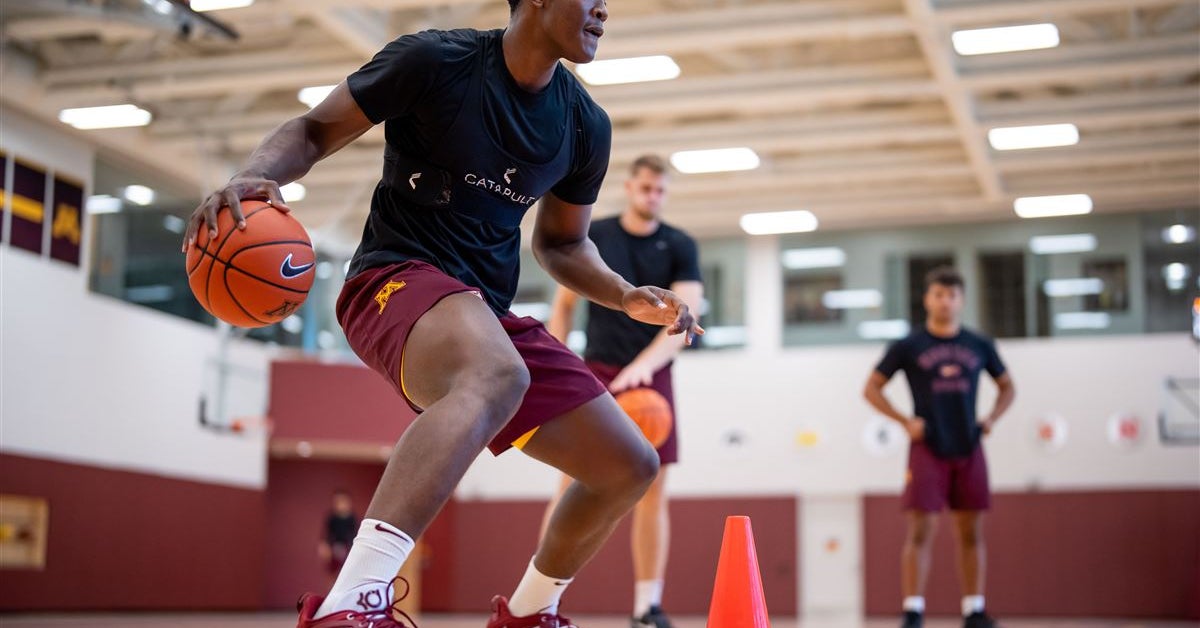Minnesota Basketball 2023-24 Preview: Pharrel Payne