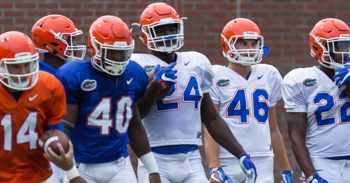 Florida releases "The Swamp is Back" video