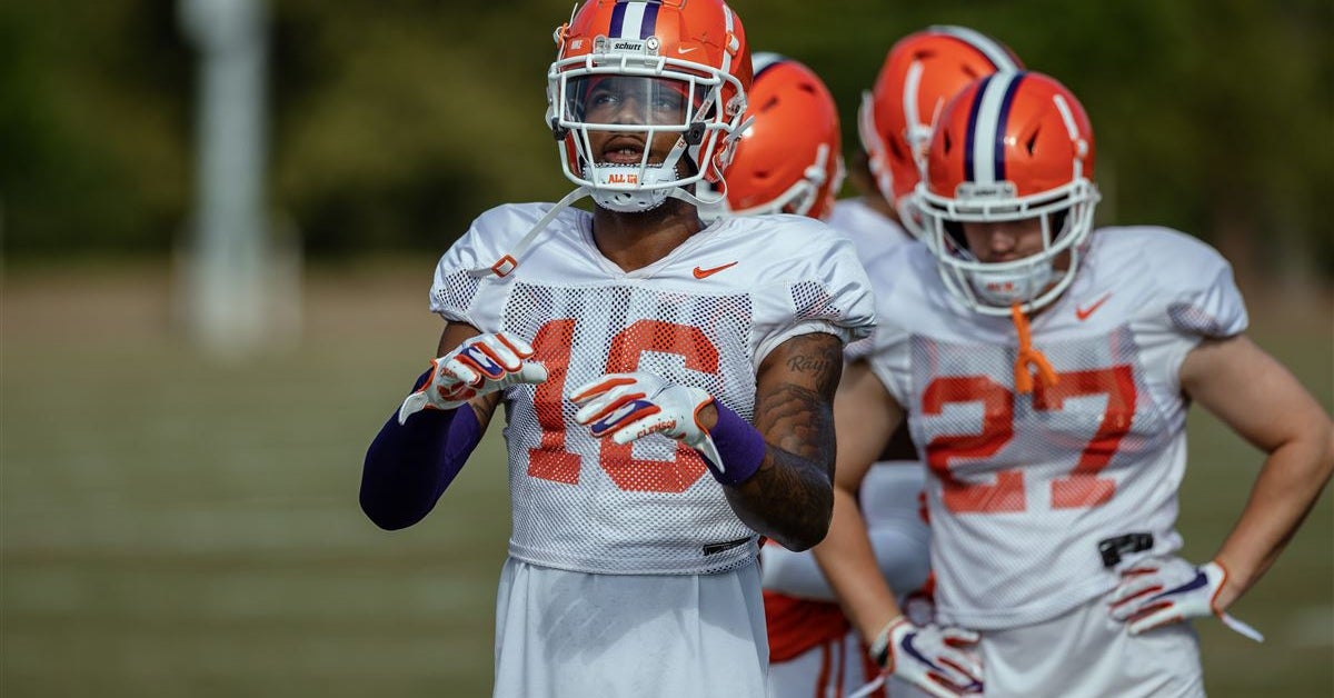 USF defensive back, former Clemson signee Ray Thornton enters NCAA ...