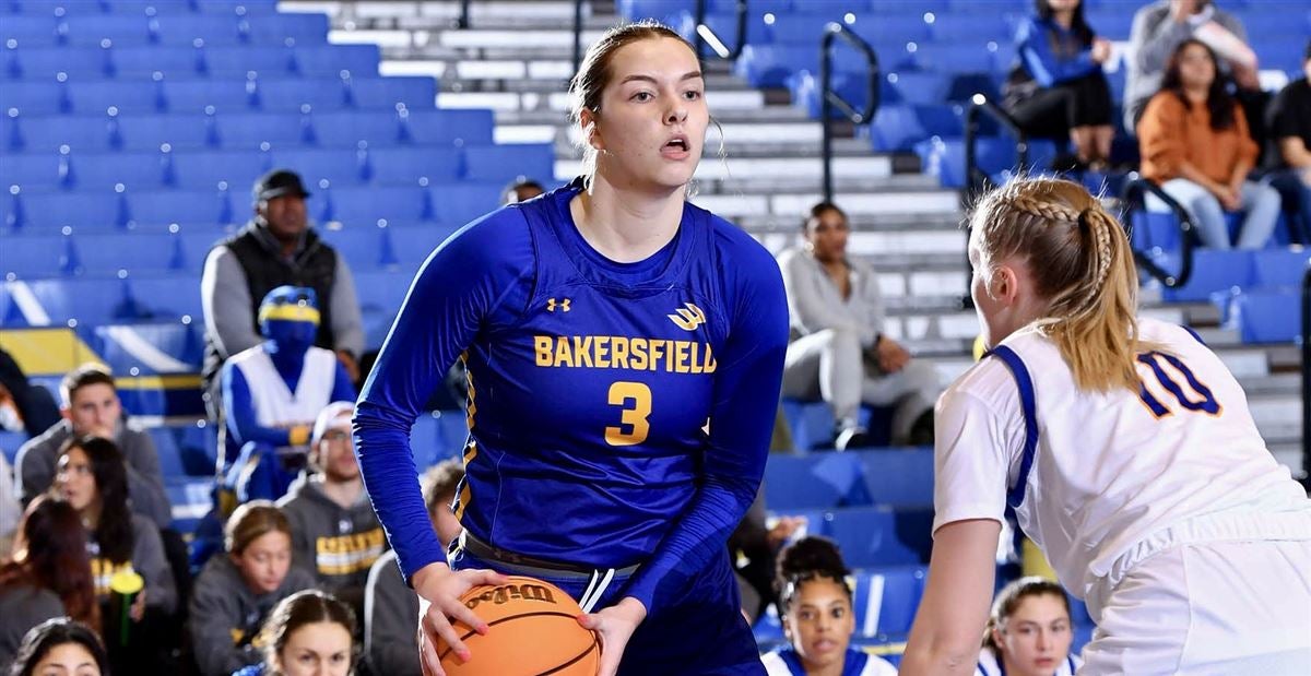 Louisville adds transfer Hennie van Schaik to women's hoops roster