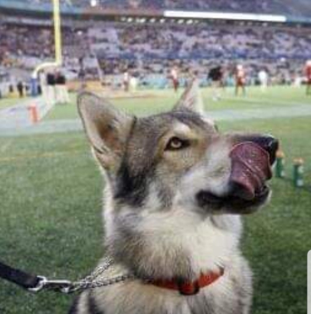 Self Isolation/Social Distancing humor thread