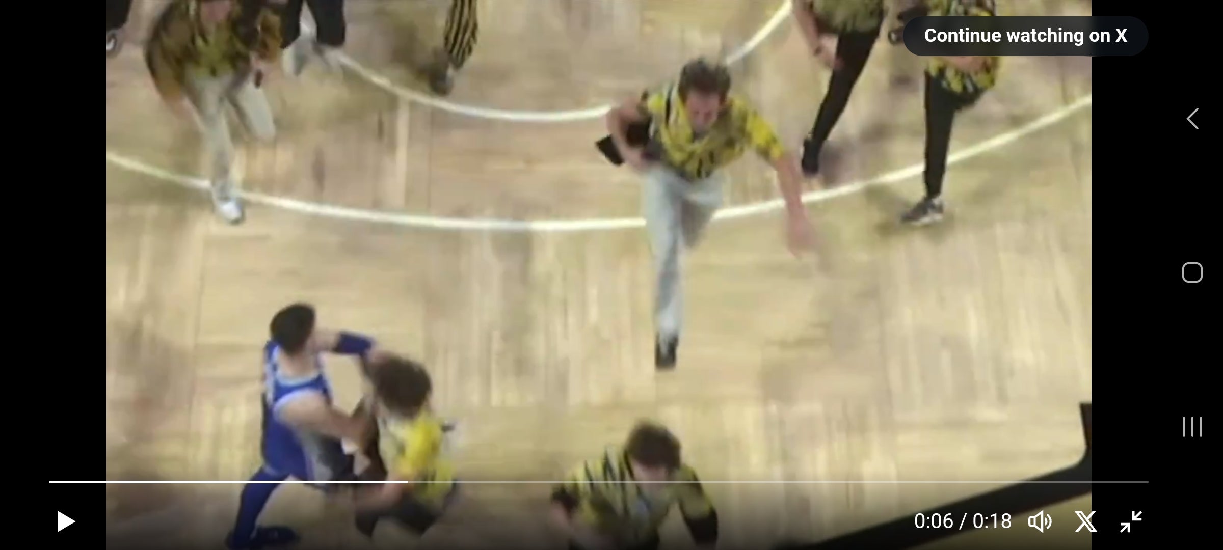 Flipowski should be suspended for trying to hit a fan.