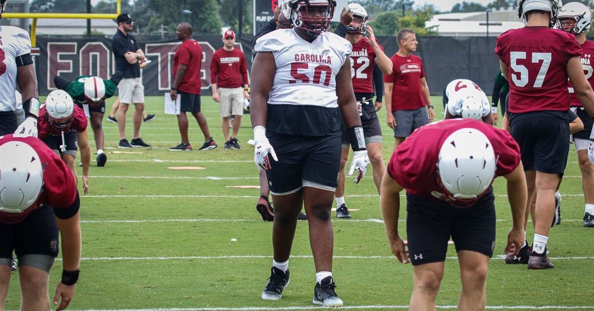 South Carolina DT Felix Hixon plans to enter NCAA Transfer Portal