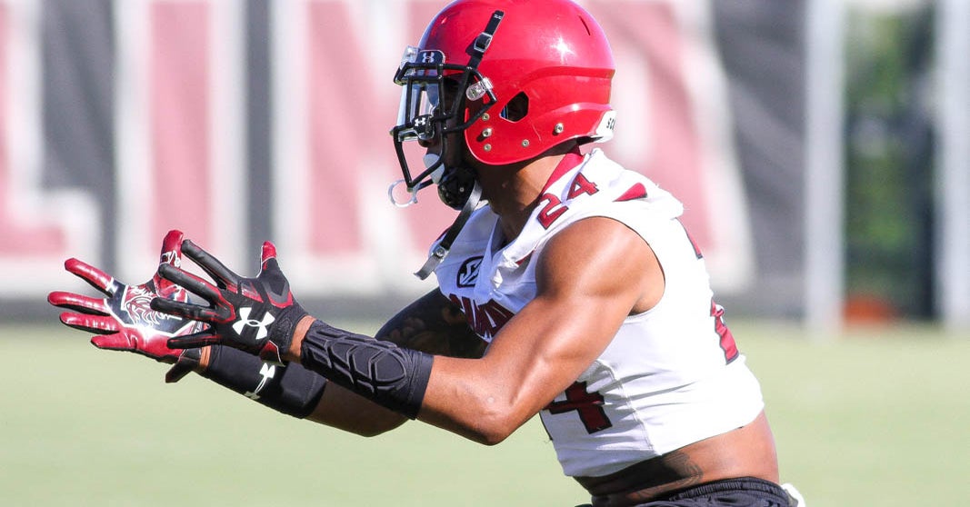 Injuries causing Gamecocks to use 'next best guy' at safety