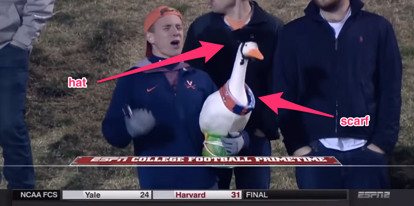 Man brings fake goose to a UVA game, sings to it, wins forever
