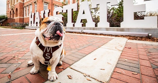 JMU tackle Jesse Ramil looks to find his role with Bulldog front line
