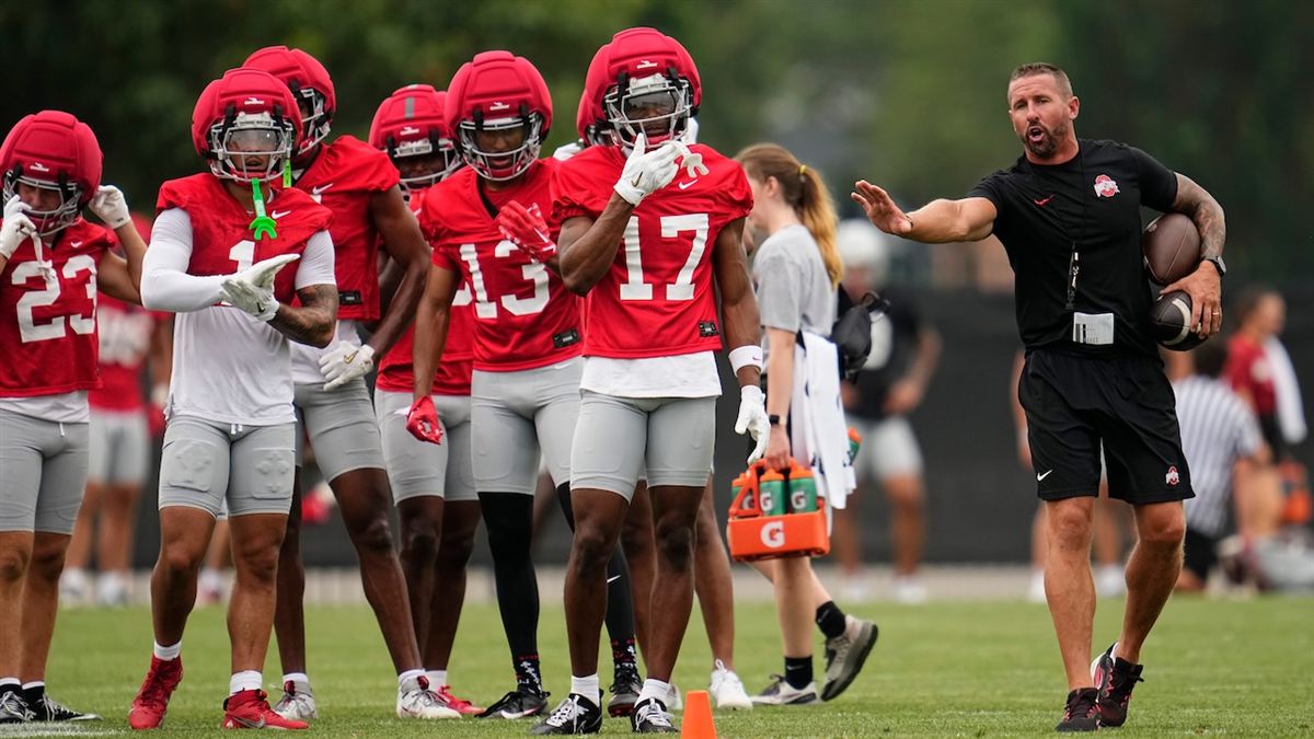 'Excited' Brian Hartline steps into play-calling role with support from ...