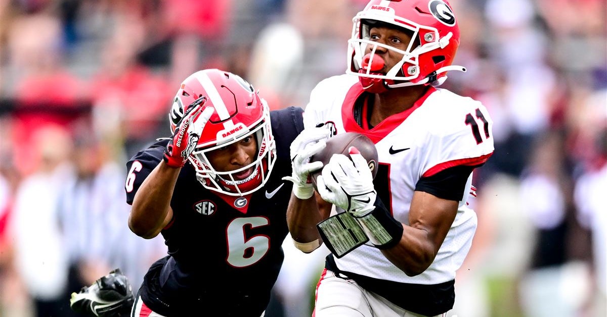 Georgia football: 5 lingering questions for the Bulldogs at the end of ...